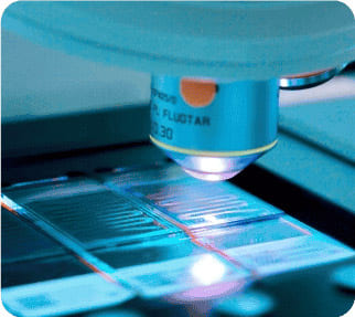 Cytoaurora – Thailand – CytoAurora Biotechnology ผสานรวมเซมิคอนดักเตอร์ ...